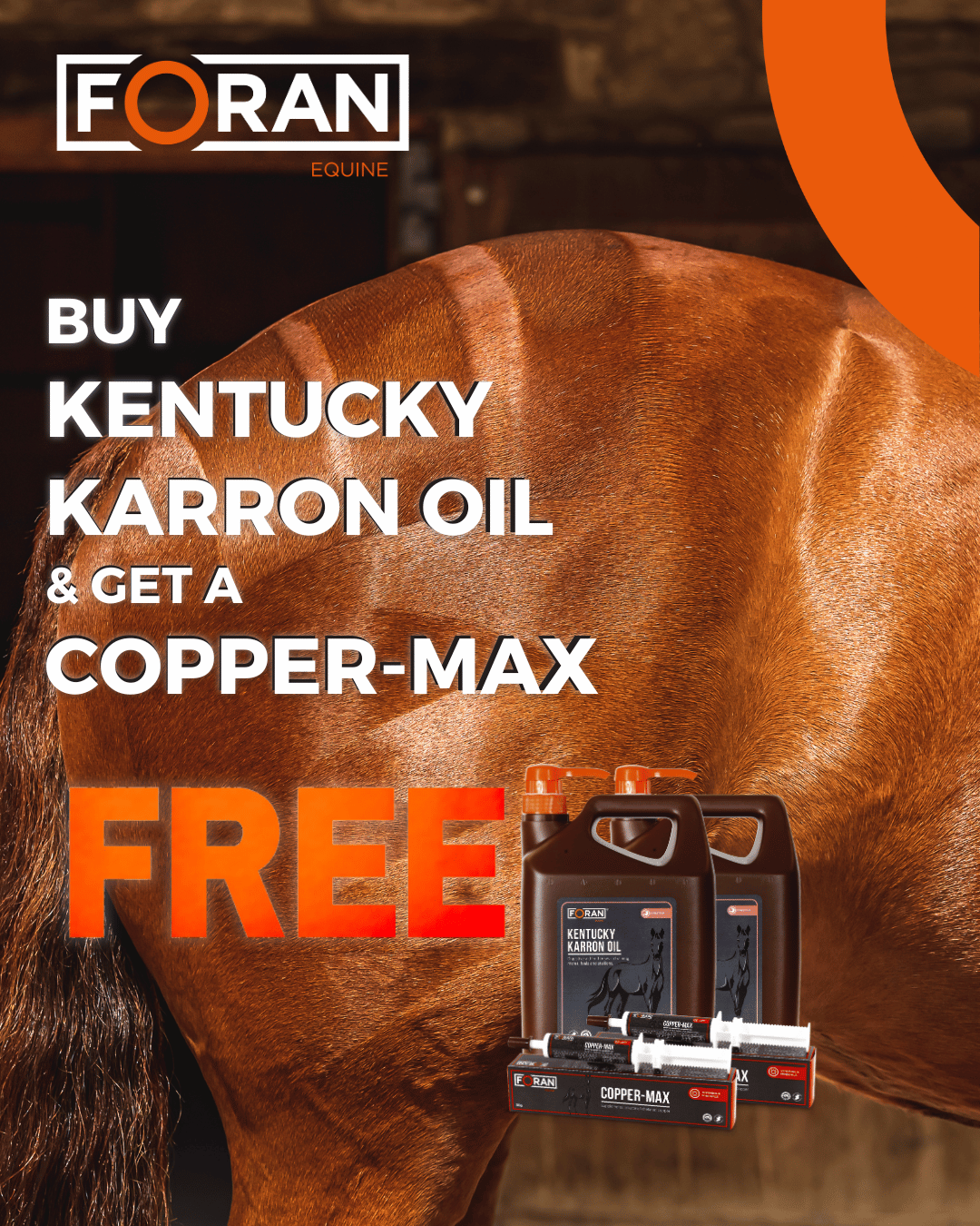 Foran Equine Copper Max: Copper & Zinc supplement for horses