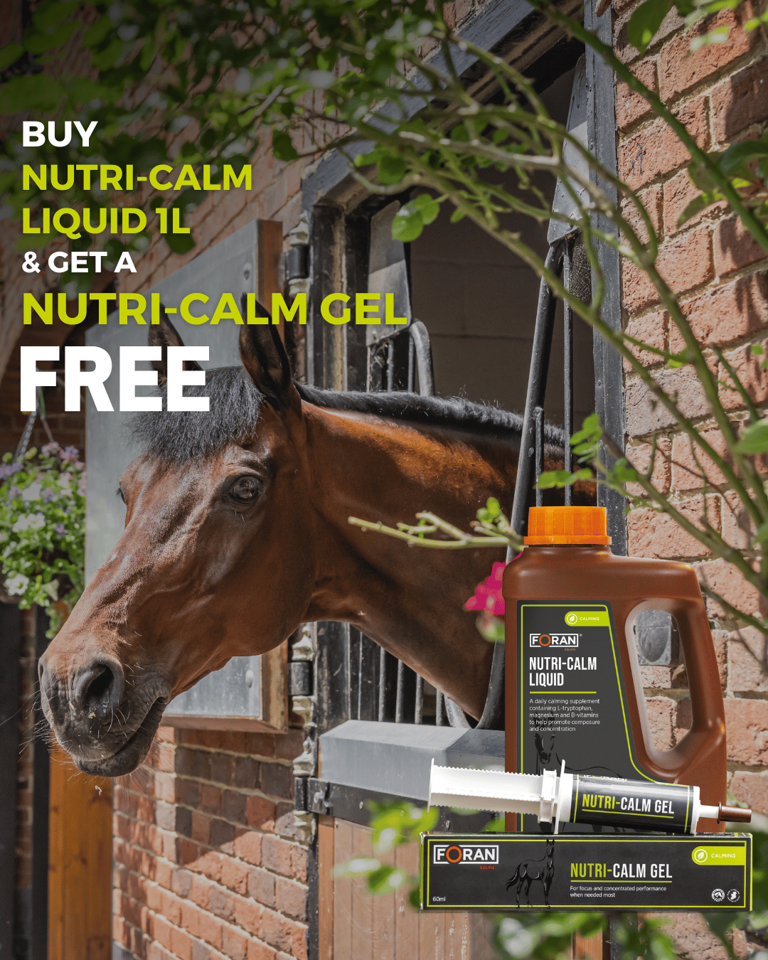 Equine Anxiety Supplement Horse Calming Supplement - Natural Raspberry ...
